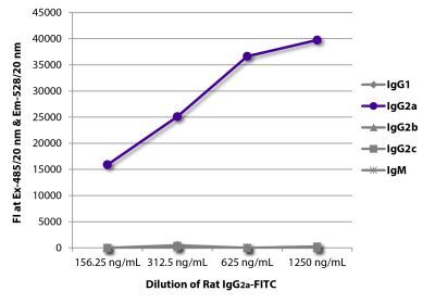 Cell Staining Buffer | SouthernBiotech
