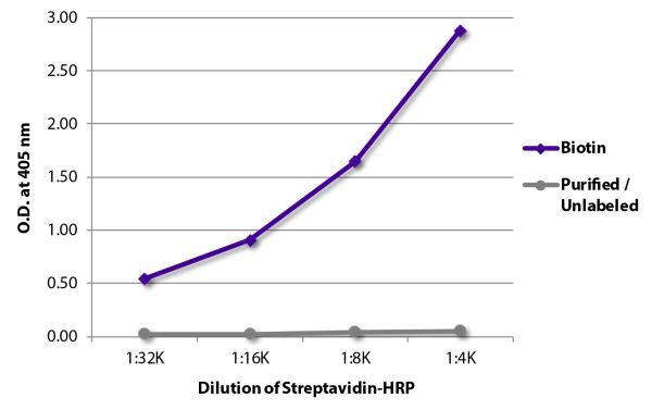 Streptavidin-HRP | SouthernBiotech