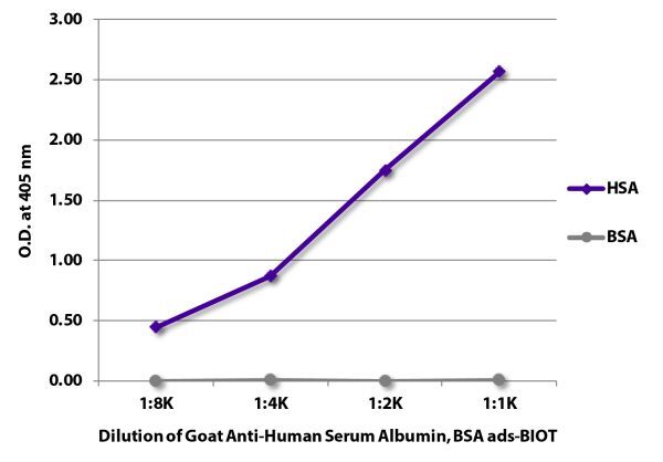 Biotin Goat Anti-Human Serum Albumin, BSA Adsorbed | SouthernBiotech