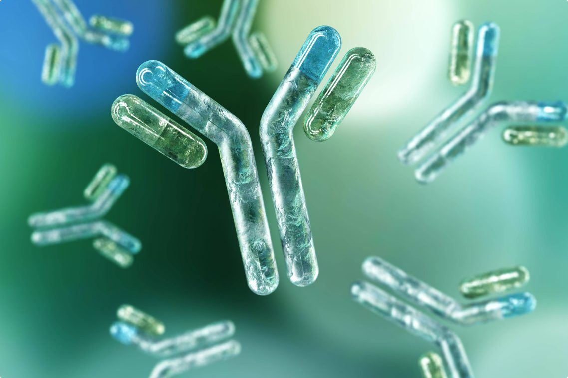 Recombinant Antibodies - SouthernBiotech