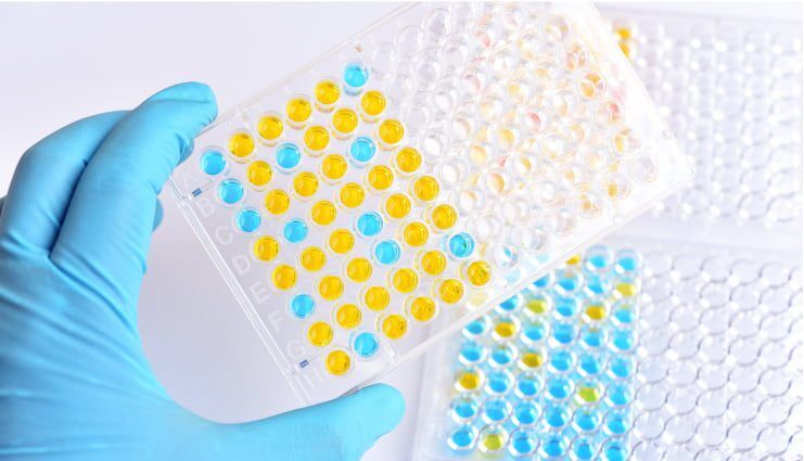 Antibodies For Research | SouthernBiotech