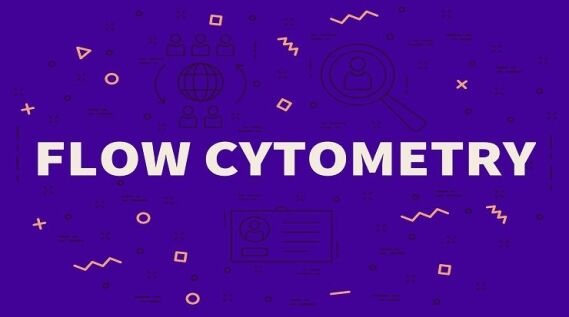 Flow Cytometry Overview | SouthernBiotech