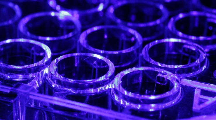 Title: Tips for ELISA Optimization | SouthernBiotech