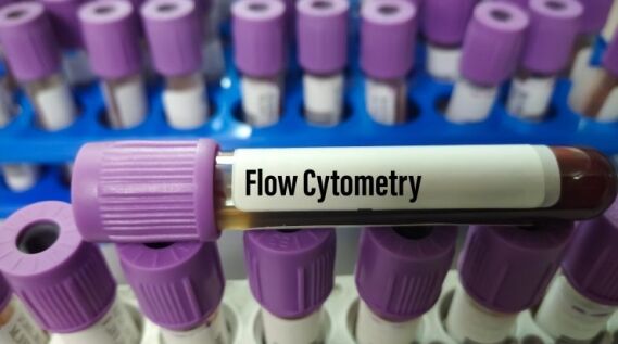 Staining for Flow Cytometry | SouthernBiotech