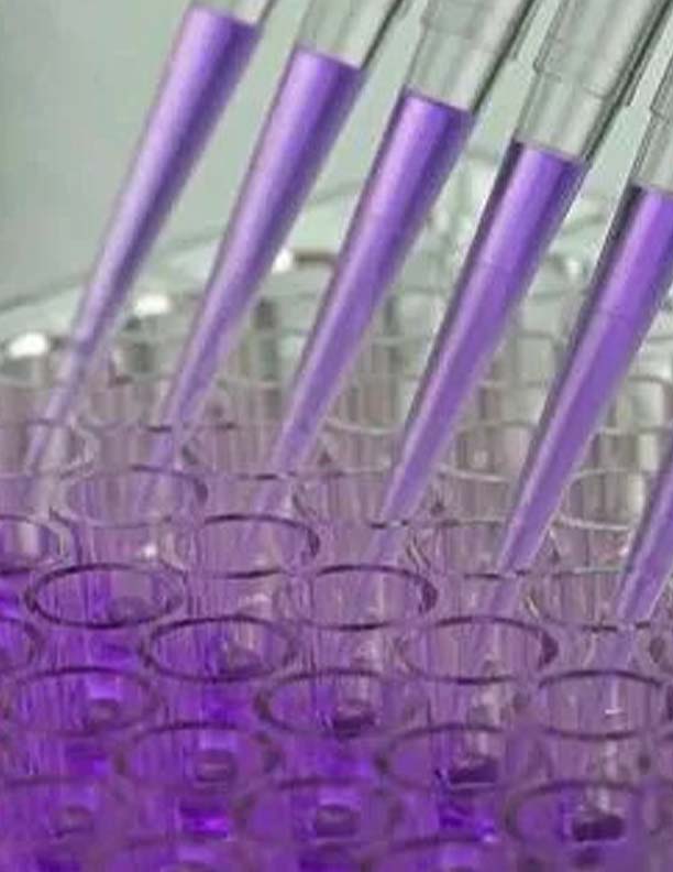 Isotyping Kits | SouthernBiotech